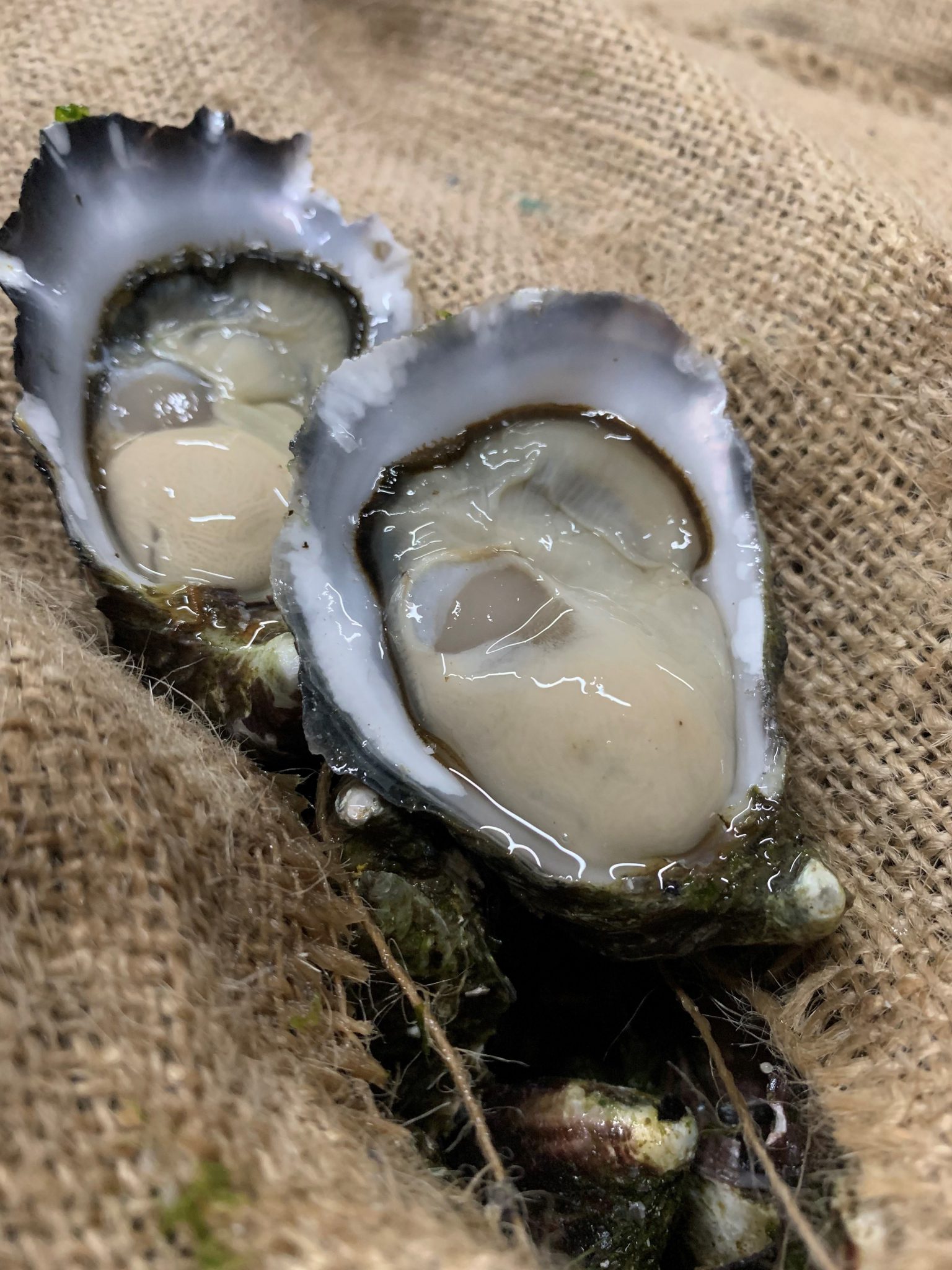 Daniel Street Fish Market