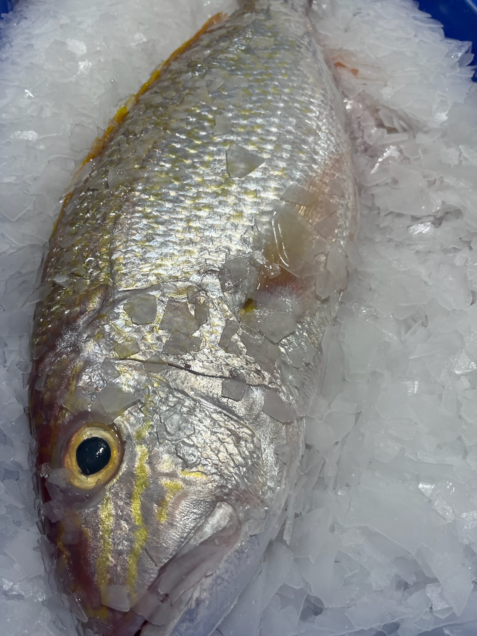 Daniel Street Fish Market