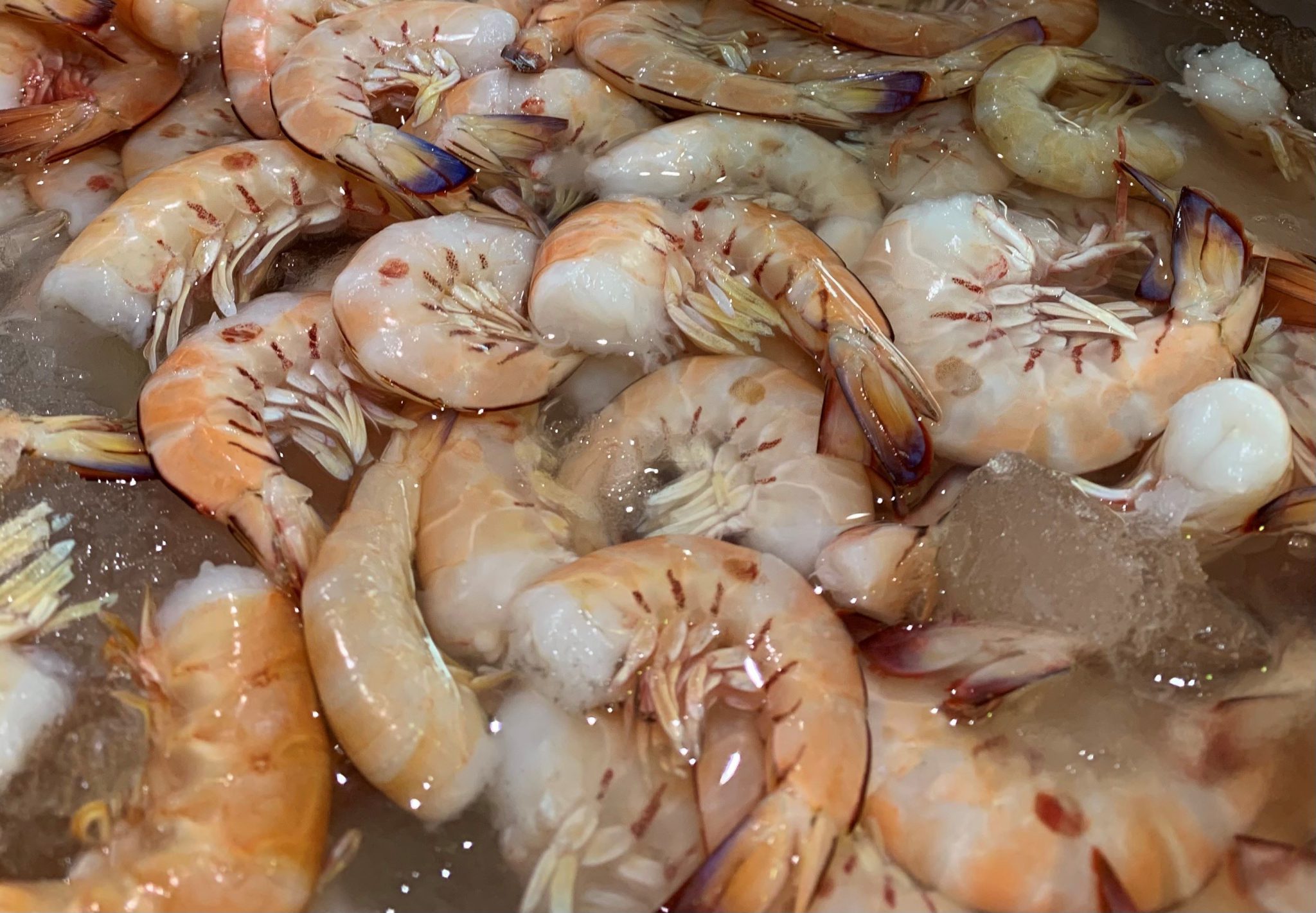 Daniel Street Fish Market