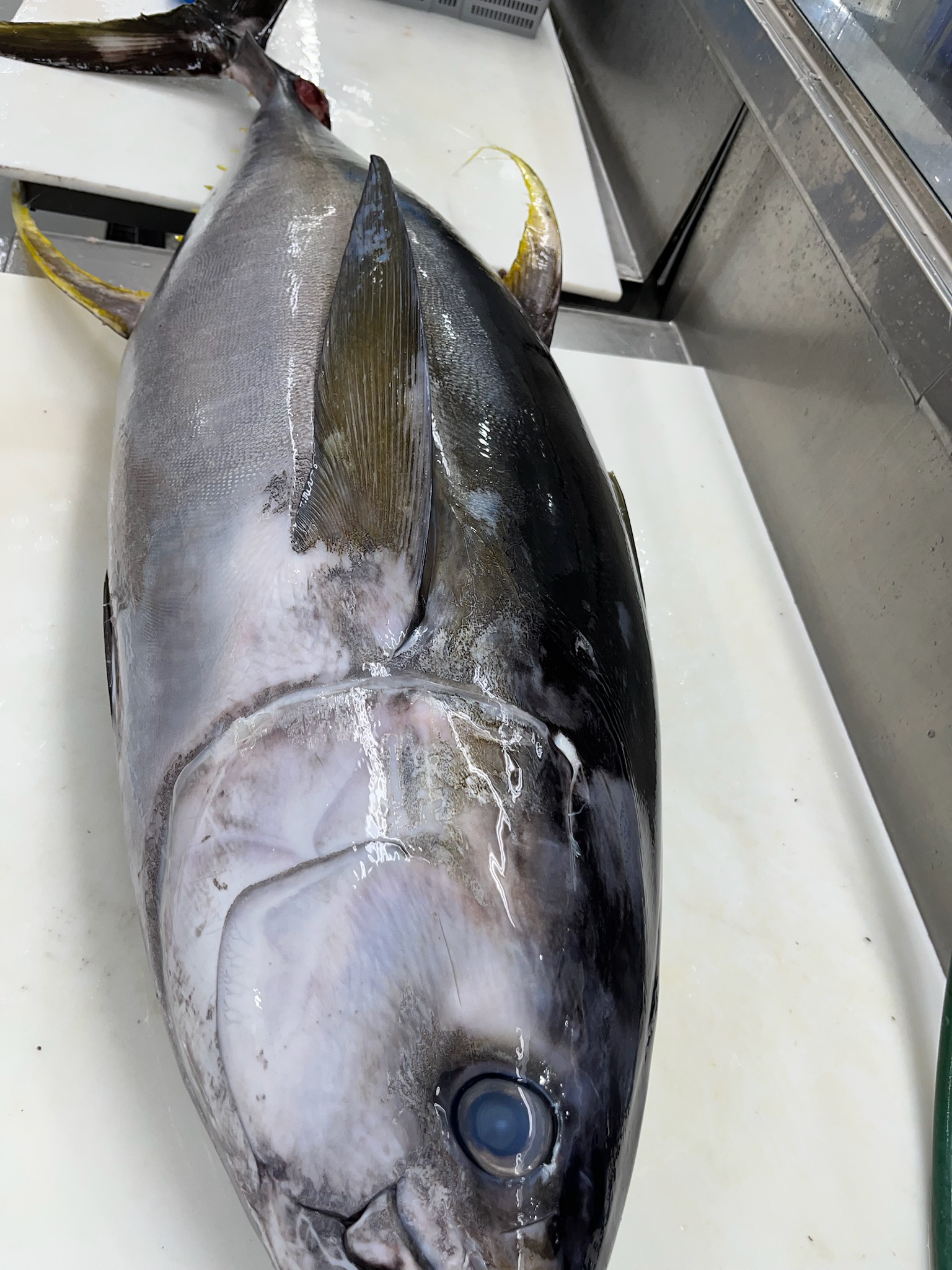 Daniel Street Fish Market